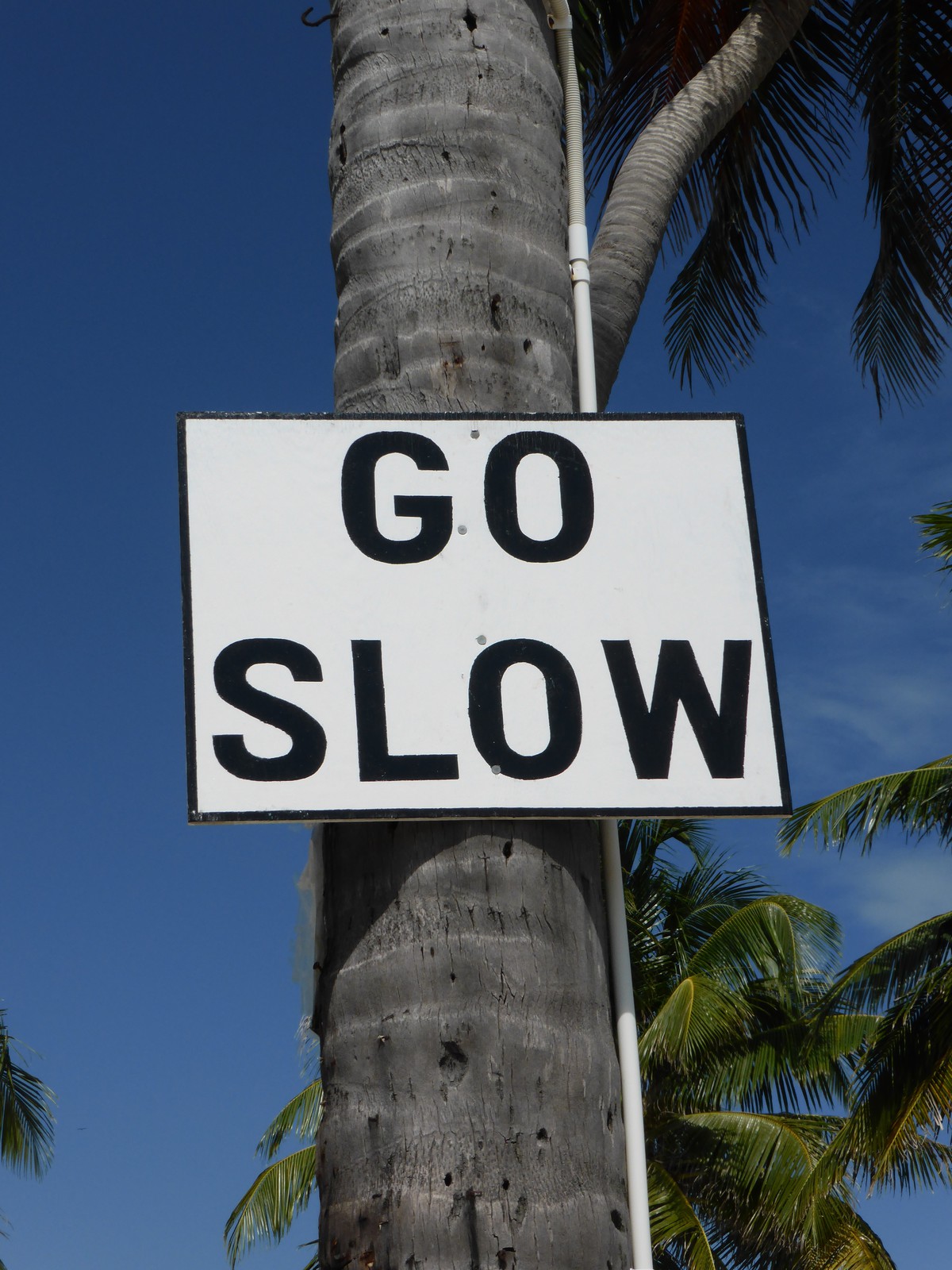 A 'go slow' sign in Caye Caulker - A Picture from Caye Caulker, Belize ...