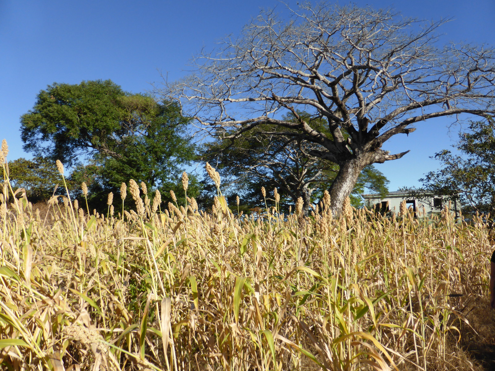 A Picture from Cerro de Guazapa, El Salvador - Travel Writing