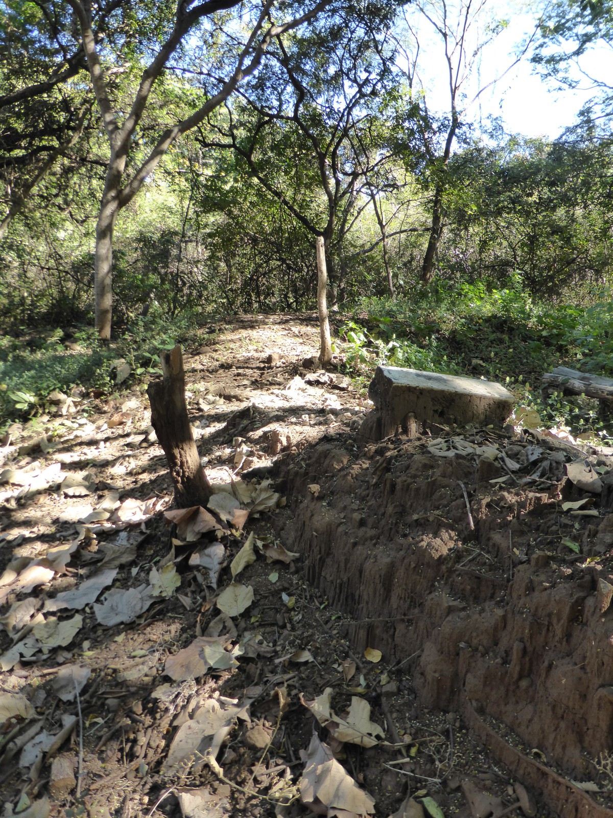 A Picture from Cerro de Guazapa, El Salvador - Travel Writing