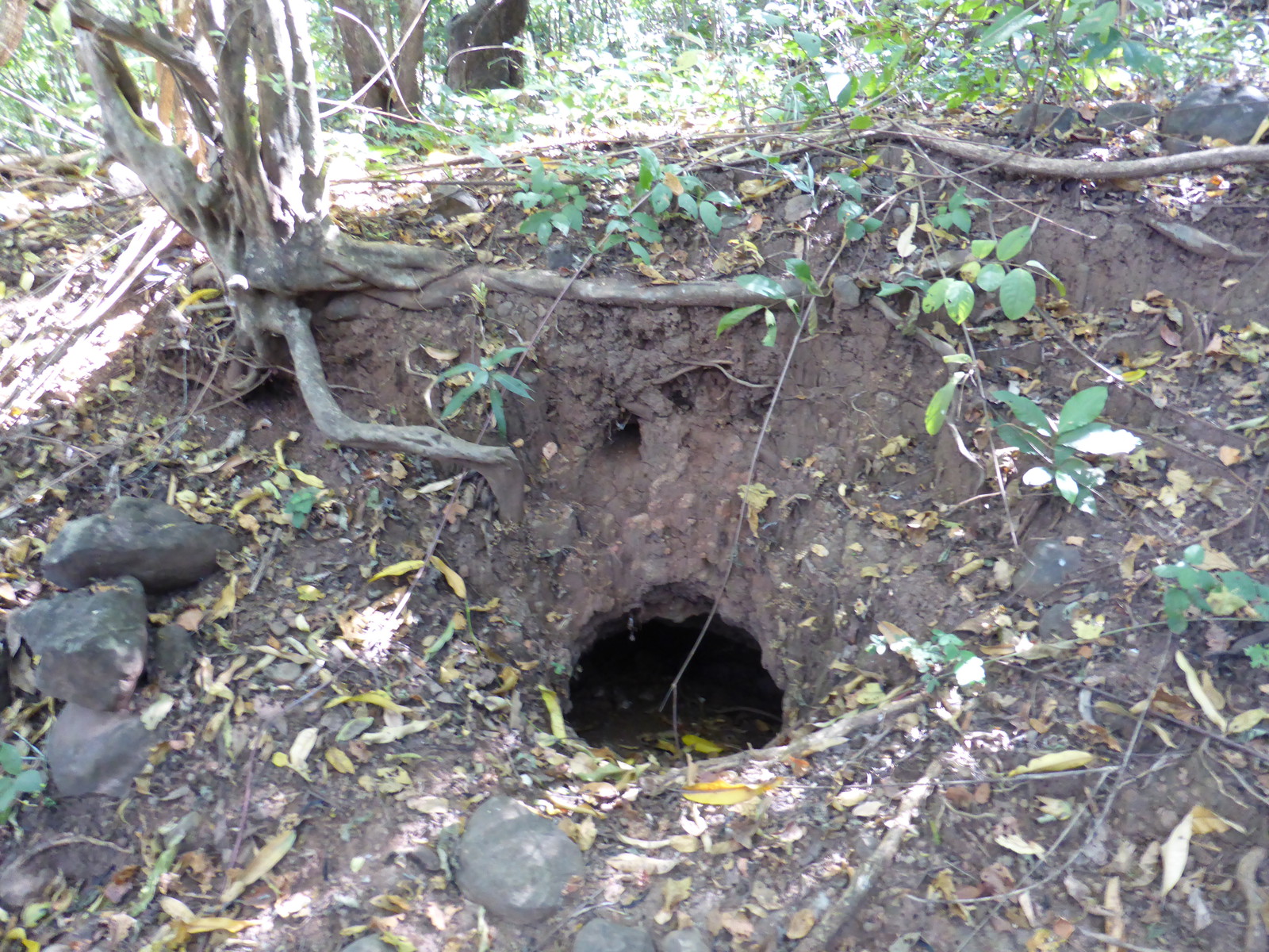 A Picture from Cerro de Guazapa, El Salvador - Travel Writing