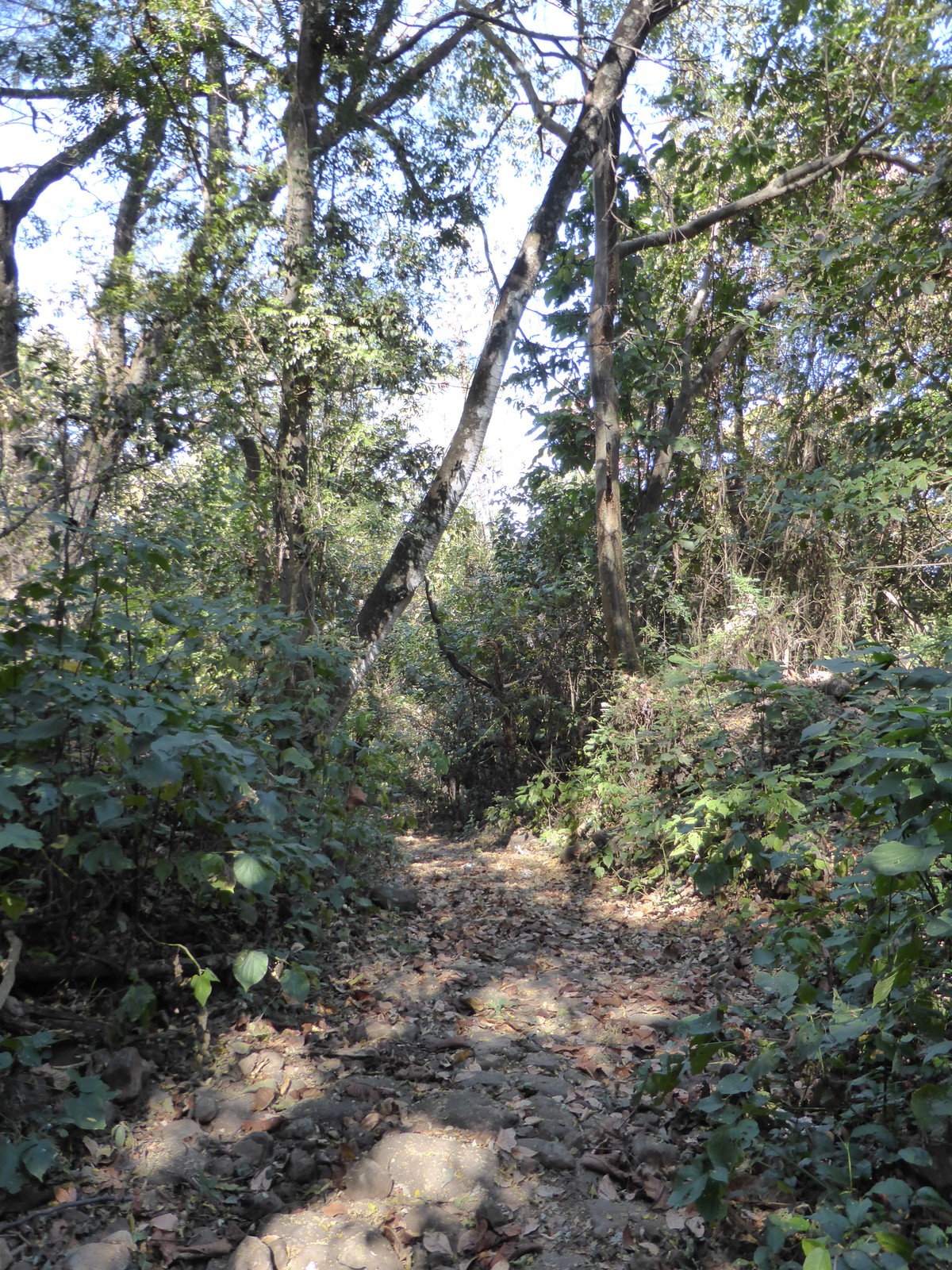 A Picture from Cerro de Guazapa, El Salvador - Travel Writing
