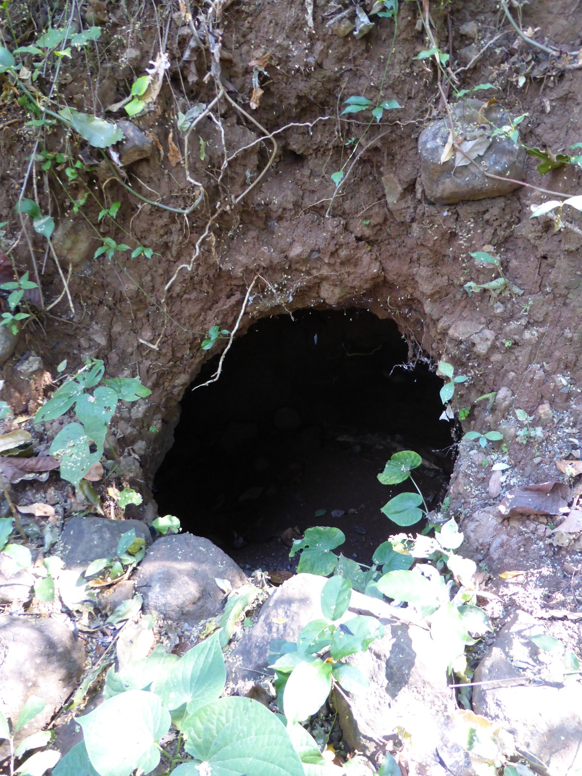 A Picture from Cerro de Guazapa, El Salvador - Travel Writing