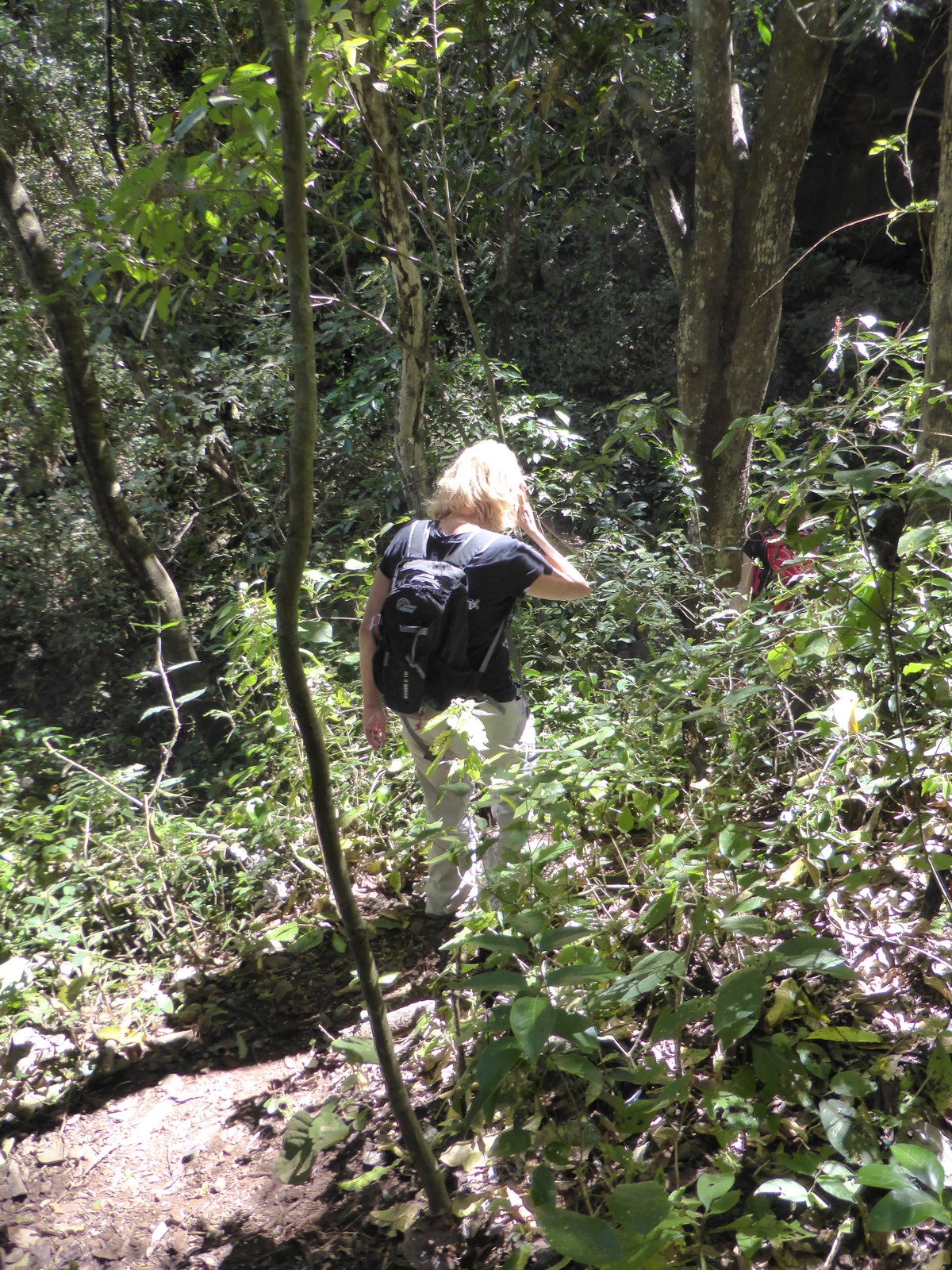 A Picture from Cerro de Guazapa, El Salvador - Travel Writing