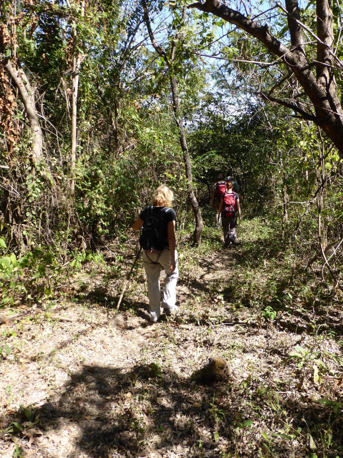 A Picture from Cerro de Guazapa, El Salvador - Travel Writing