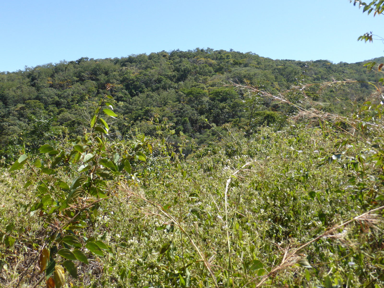 A Picture from Cerro de Guazapa, El Salvador - Travel Writing