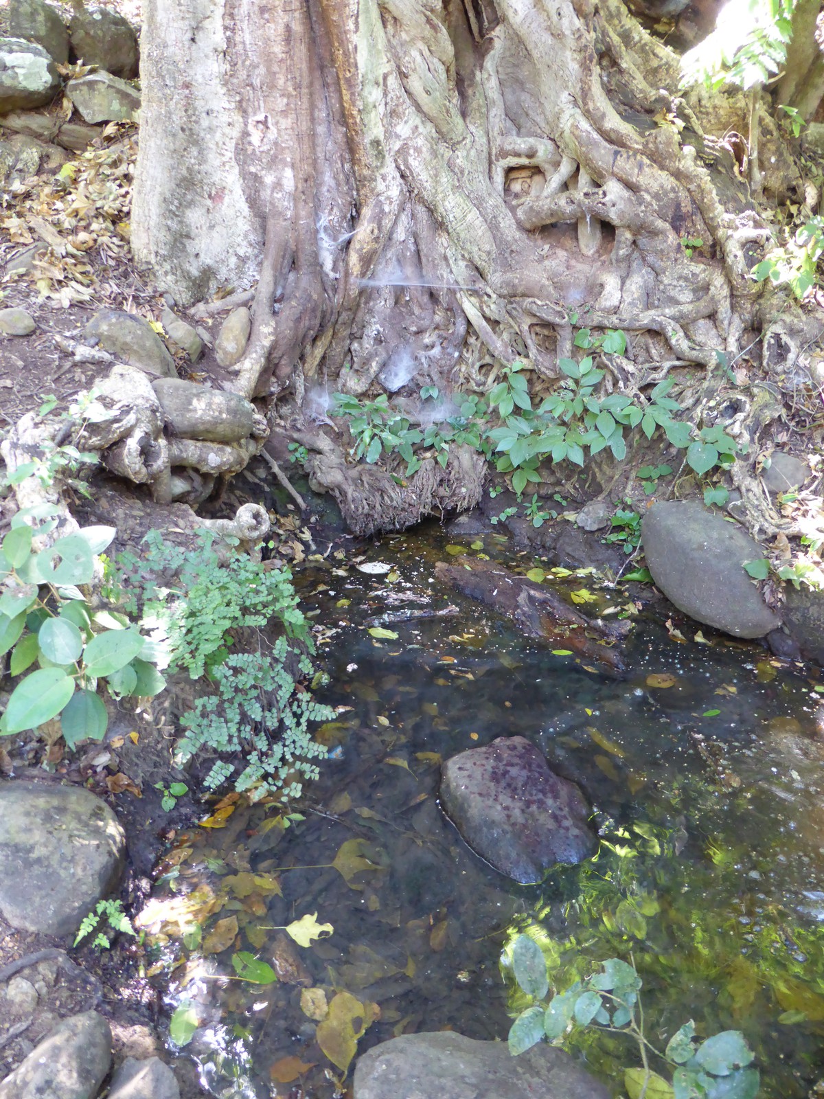 A Picture from Cerro de Guazapa, El Salvador - Travel Writing