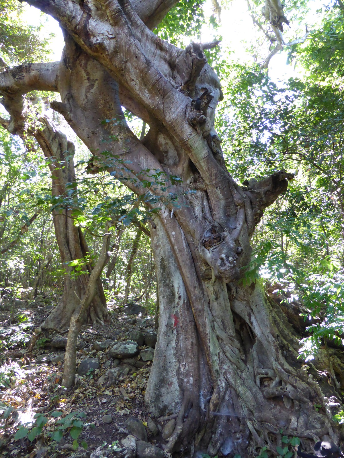 A Picture from Cerro de Guazapa, El Salvador - Travel Writing