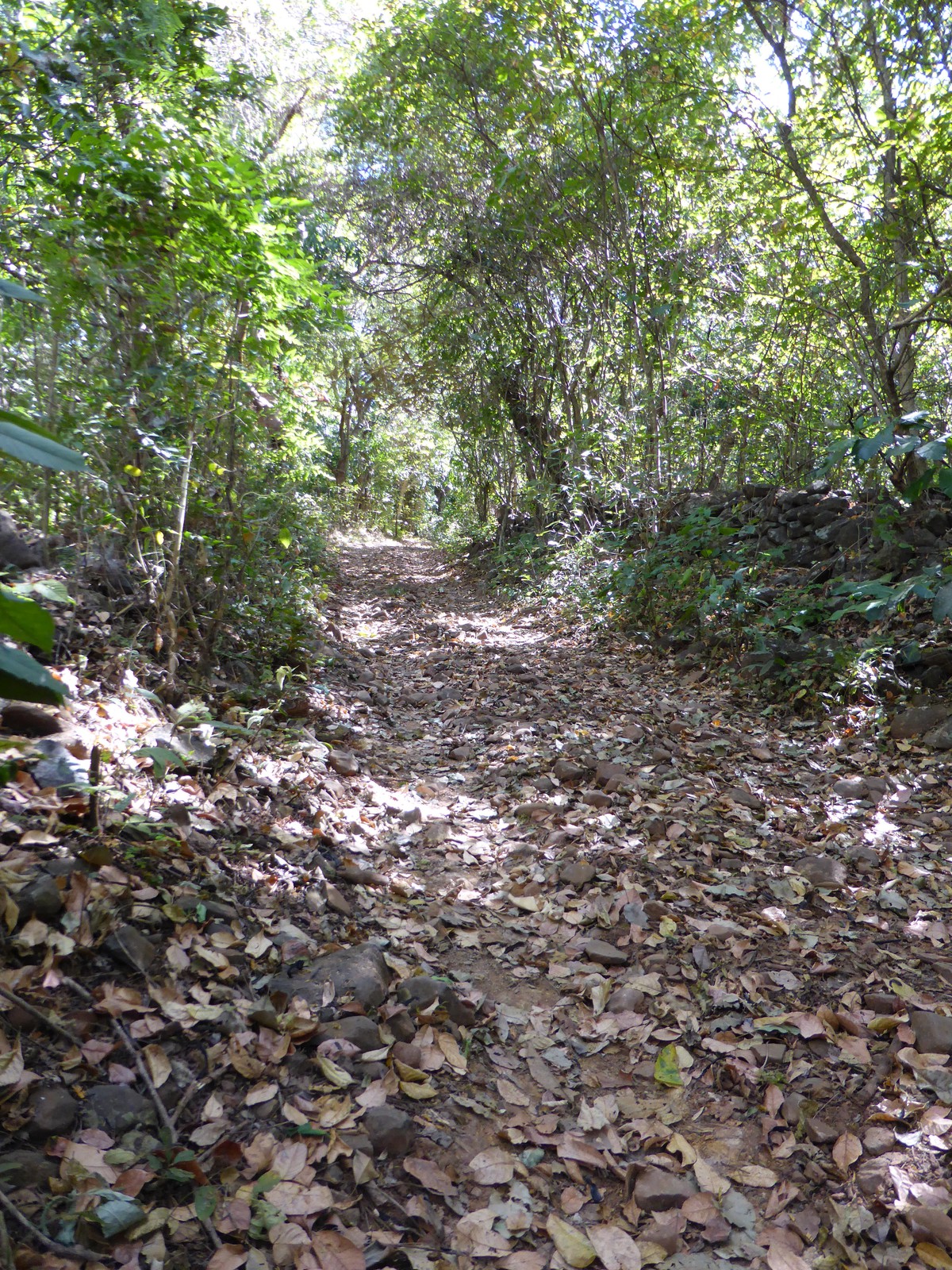 A Picture from Cerro de Guazapa, El Salvador - Travel Writing