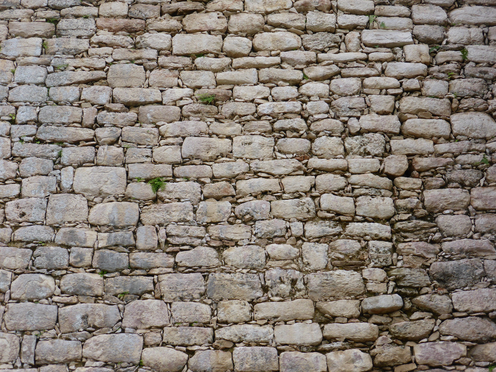 A Picture from Chichén Itzá, Mexico - Travel Writing